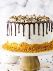 Amazing S'mores Cake | S'more Stuffed Chocolate Cake!
