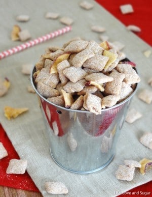 Caramel Apple Puppy Chow | Quick and Easy No Bake Dessert