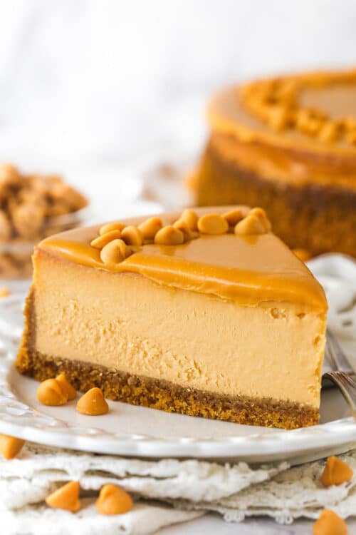 Loaded Butterscotch Cheesecake | Life Love and Sugar