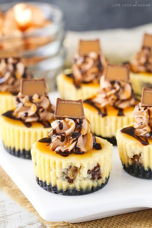 Mini Rolo Cheesecakes | Gooey Caramel & Chocolate Cheesecake Bites