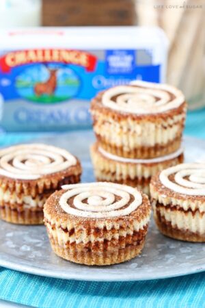 Mini Cinnamon Roll Cheesecakes Recipe | Easy Mini Cheesecakes