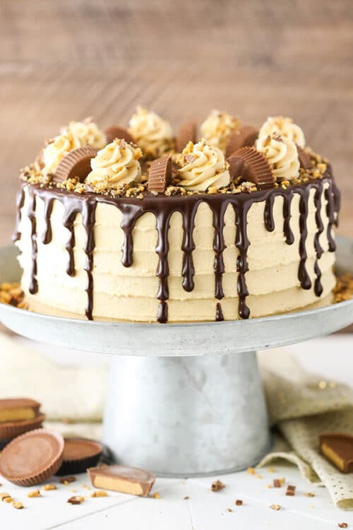 Peanut Butter Chocolate Layer Cake Life Love And Sugar