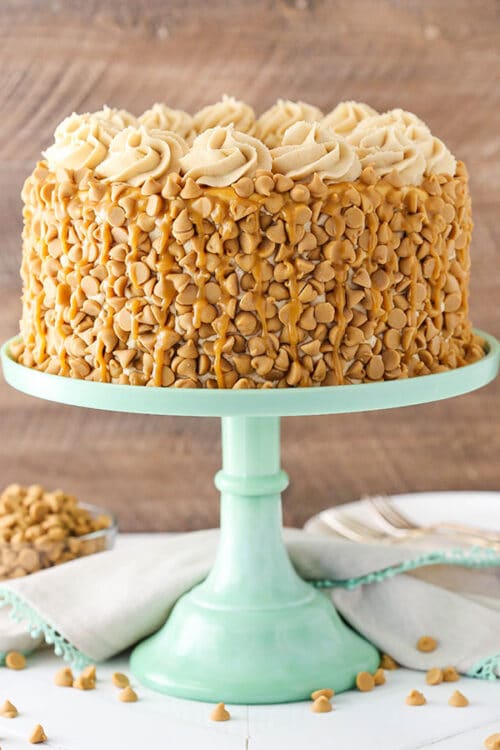Peanut Butter Layer Cake | MUST TRY Peanut Butter Dessert Recipe