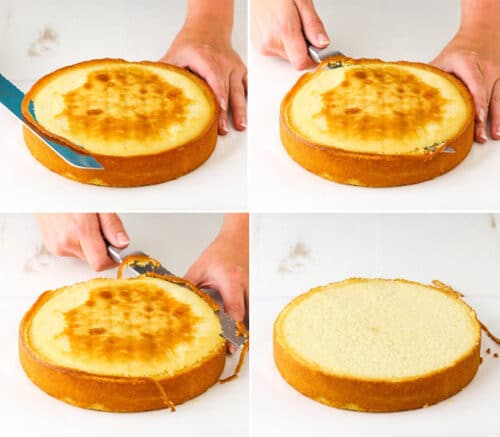 How to Level and Torte a Cake Without a Leveler | Step-by-Step Tutorial