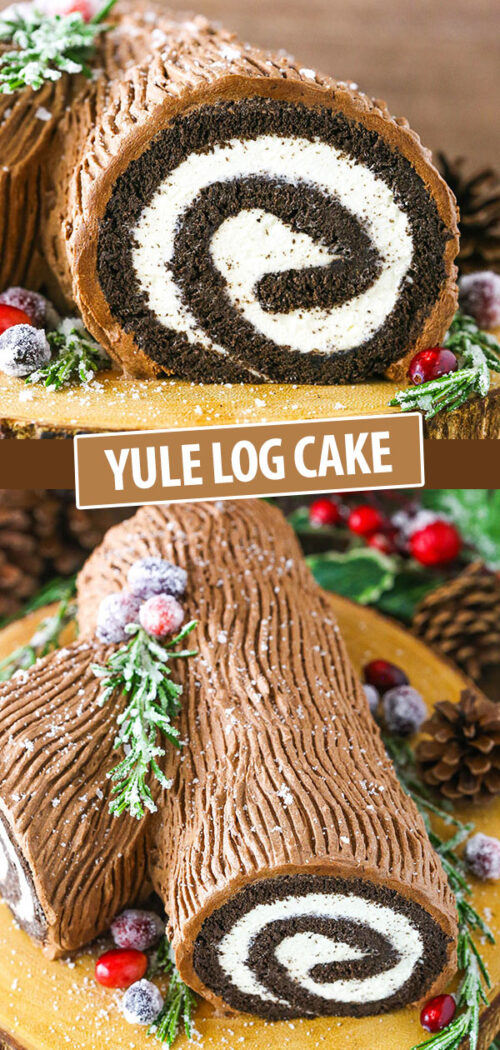 Easy Chocolate Yule Log Cake | Bûche de Noël Recipe