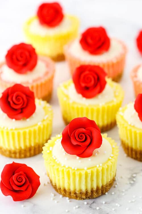 Mini Rose Cheesecakes Recipe | Life, Love and Sugar