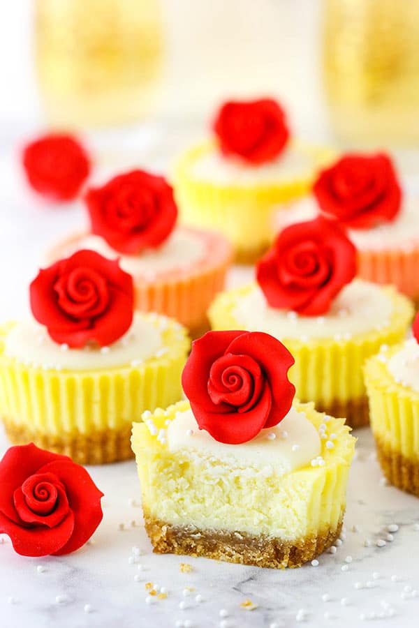 Mini Rose Cheesecakes Recipe | Life, Love and Sugar