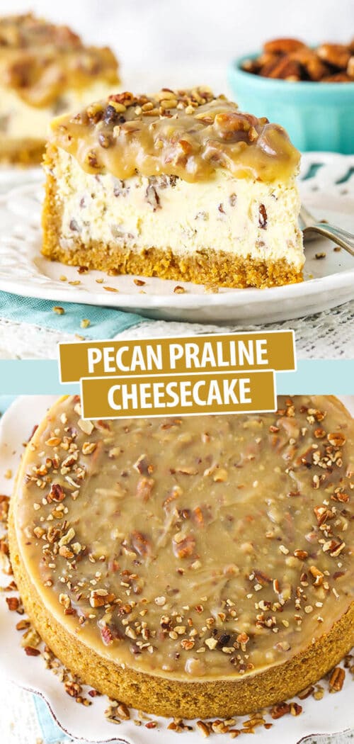 Pecan Praline Cheesecake - Life Love and Sugar