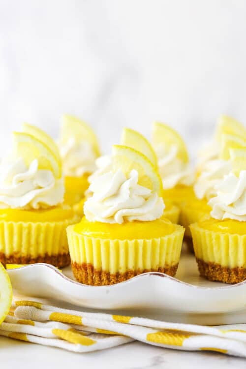Easy Mini Lemon Cheesecakes l Life Love and Sugar