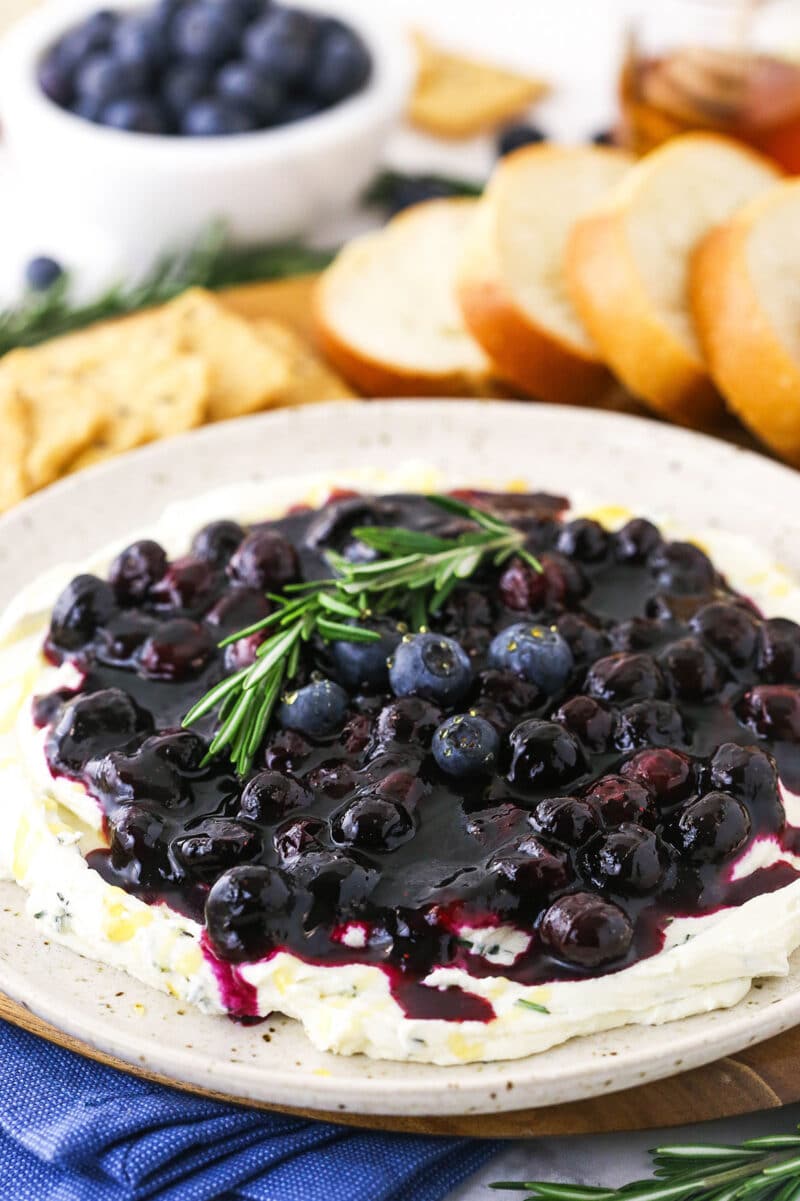 Quick & Easy Blueberry Goat Cheese Appetizer Dip | Life Love & Sugar
