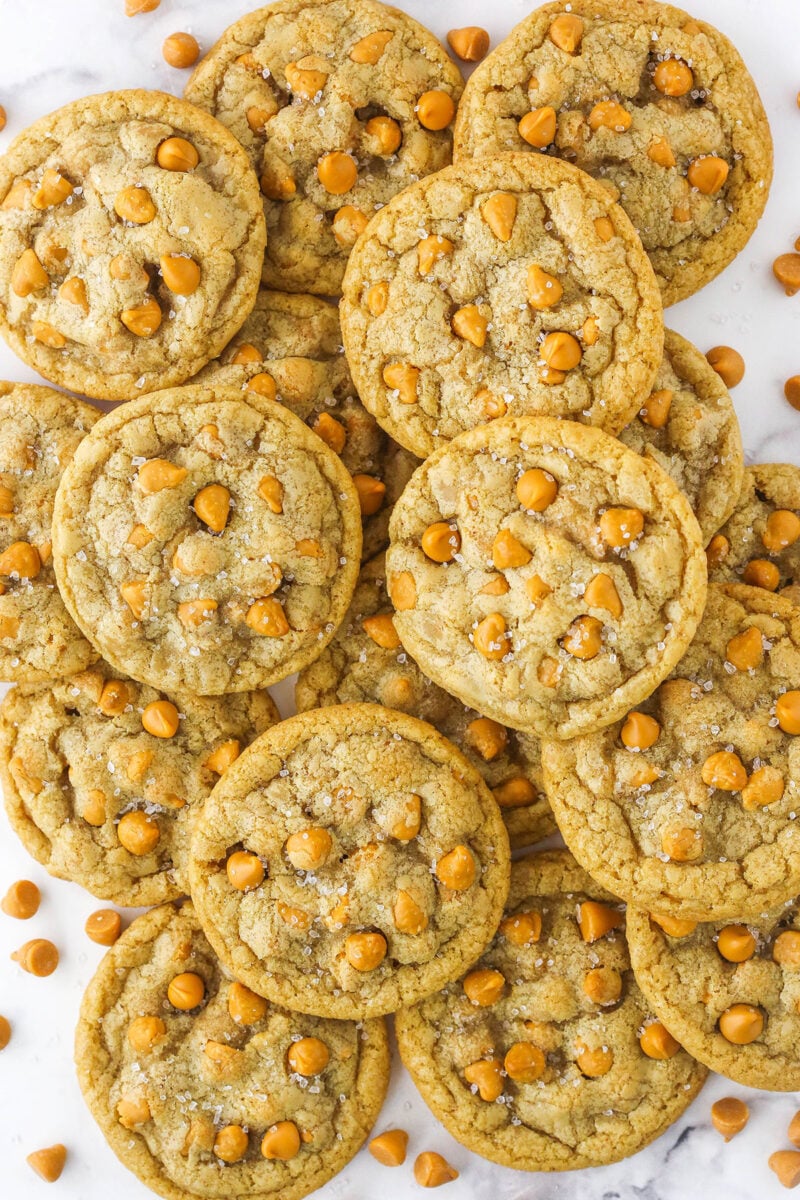 Salted Butterscotch Cookies | Life Love and Sugar