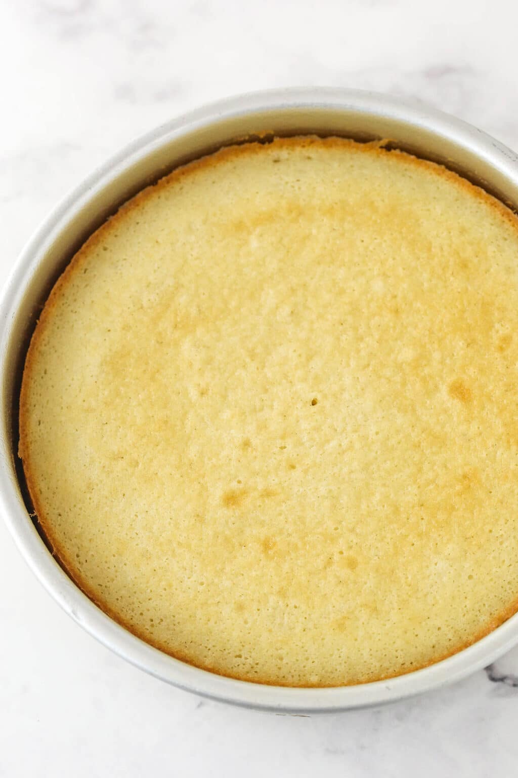 Light and Fluffy White Cake with Whipped Frosting | Life Love & Sugar