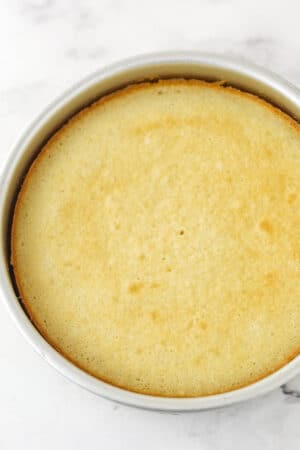 Light and Fluffy White Cake with Whipped Frosting | Life Love & Sugar