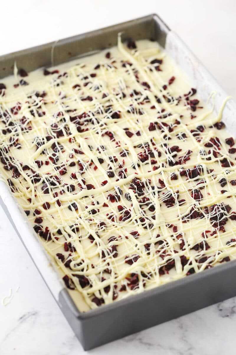 Easy Cranberry White Chocolate Bars | Life Love & Sugar