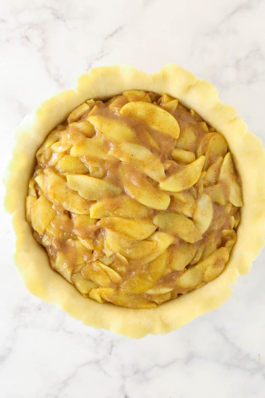 Homemade Apple Pie | Life Love & Sugar