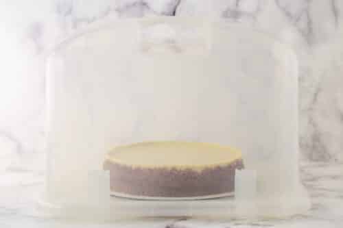 How To Store Cheesecake - Life Love and Sugar