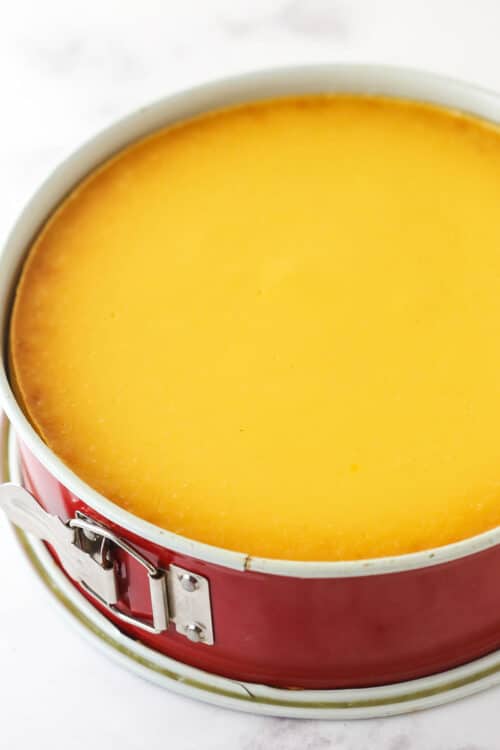 Mango Key Lime Cheesecake - Life Love and Sugar