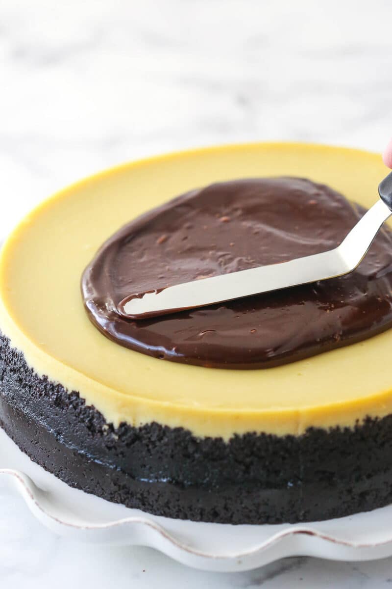 Best Baileys Cheesecake Recipe | Life, Love and Sugar