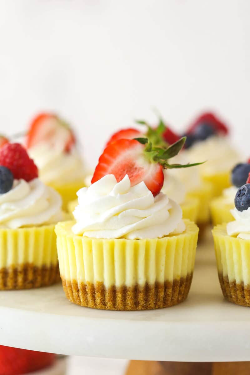 Easy Mini Cheesecakes | Life, Love and Sugar