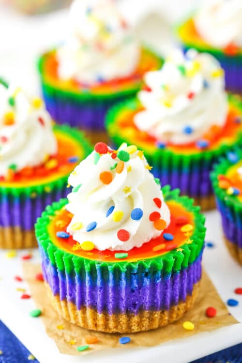 Mini Rainbow Cheesecakes | Rainbow Cake Meets Cheesecake!