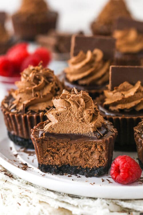 Mini Chocolate Cheesecakes | Life, Love and Sugar