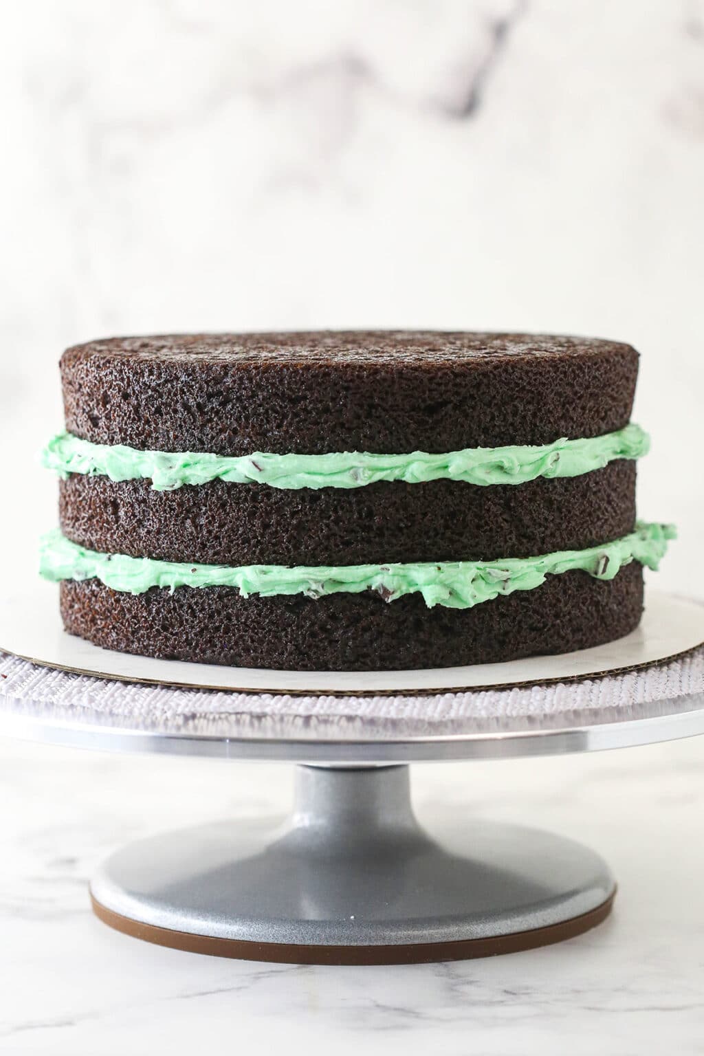 Mint Chocolate Cake | Life, Love and Sugar
