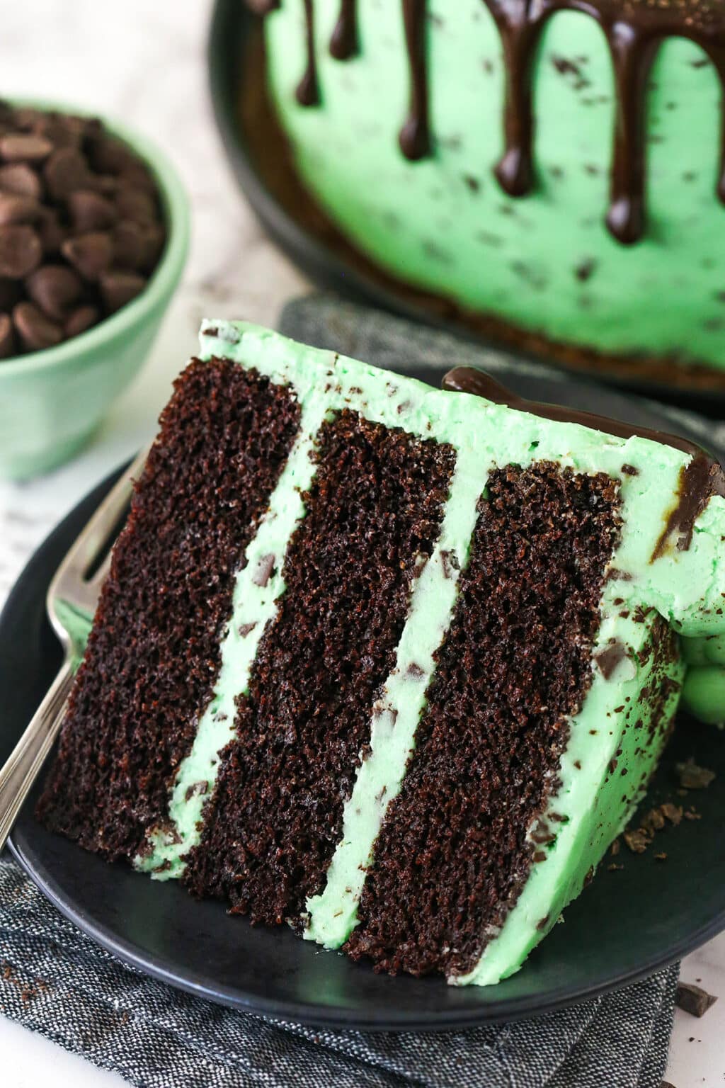 Mint Chocolate Cake | Life, Love and Sugar