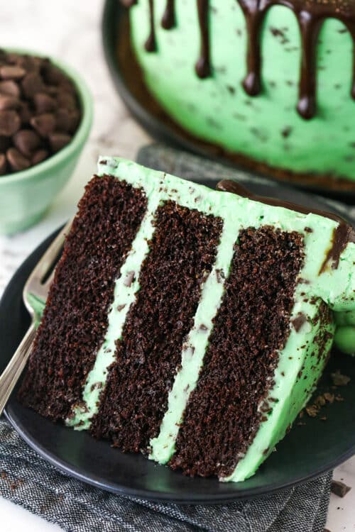 Mint Chocolate Cake | Life, Love and Sugar