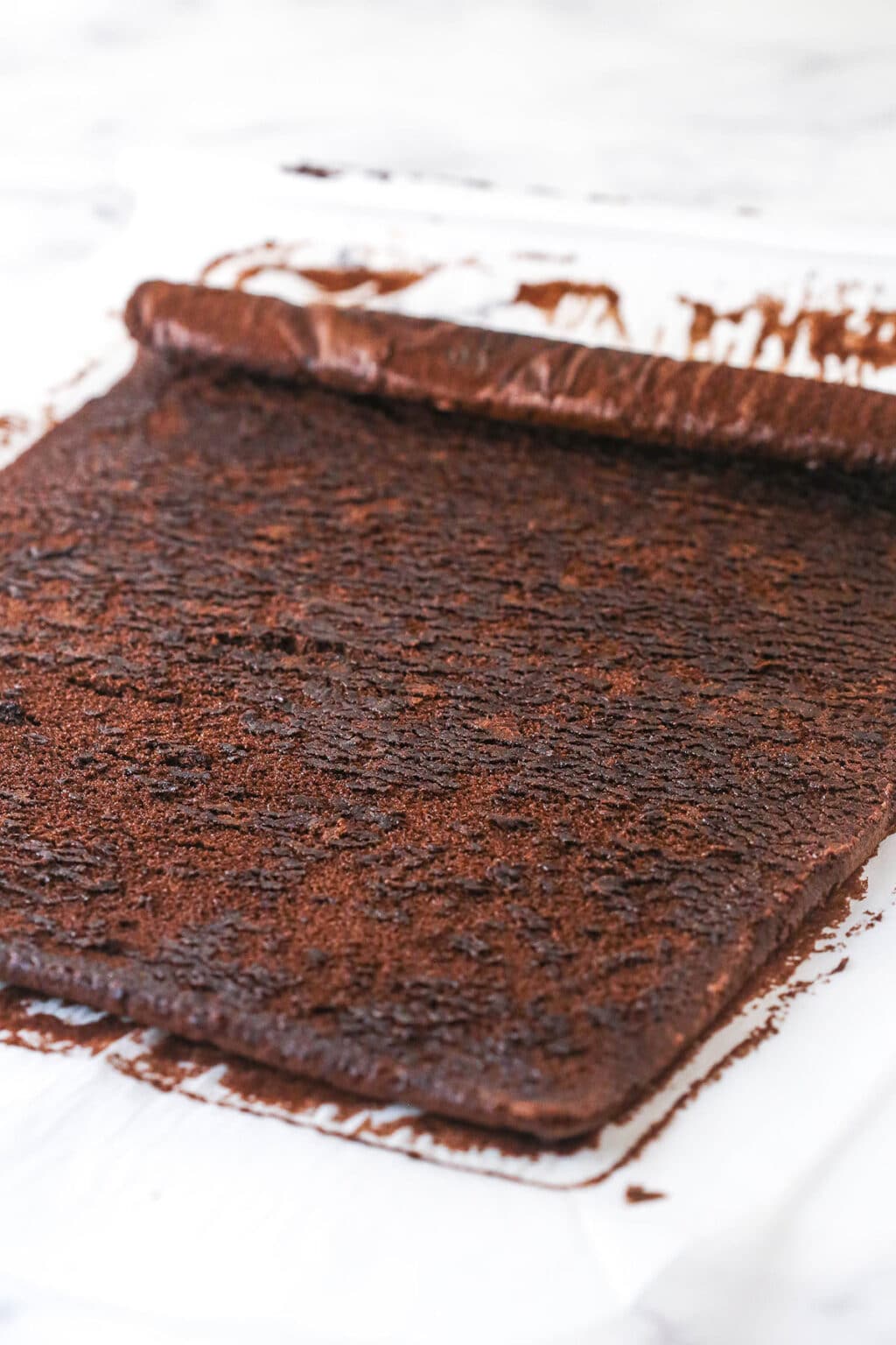 Chocolate Swiss Roll Recipe l Life Love and Sugar