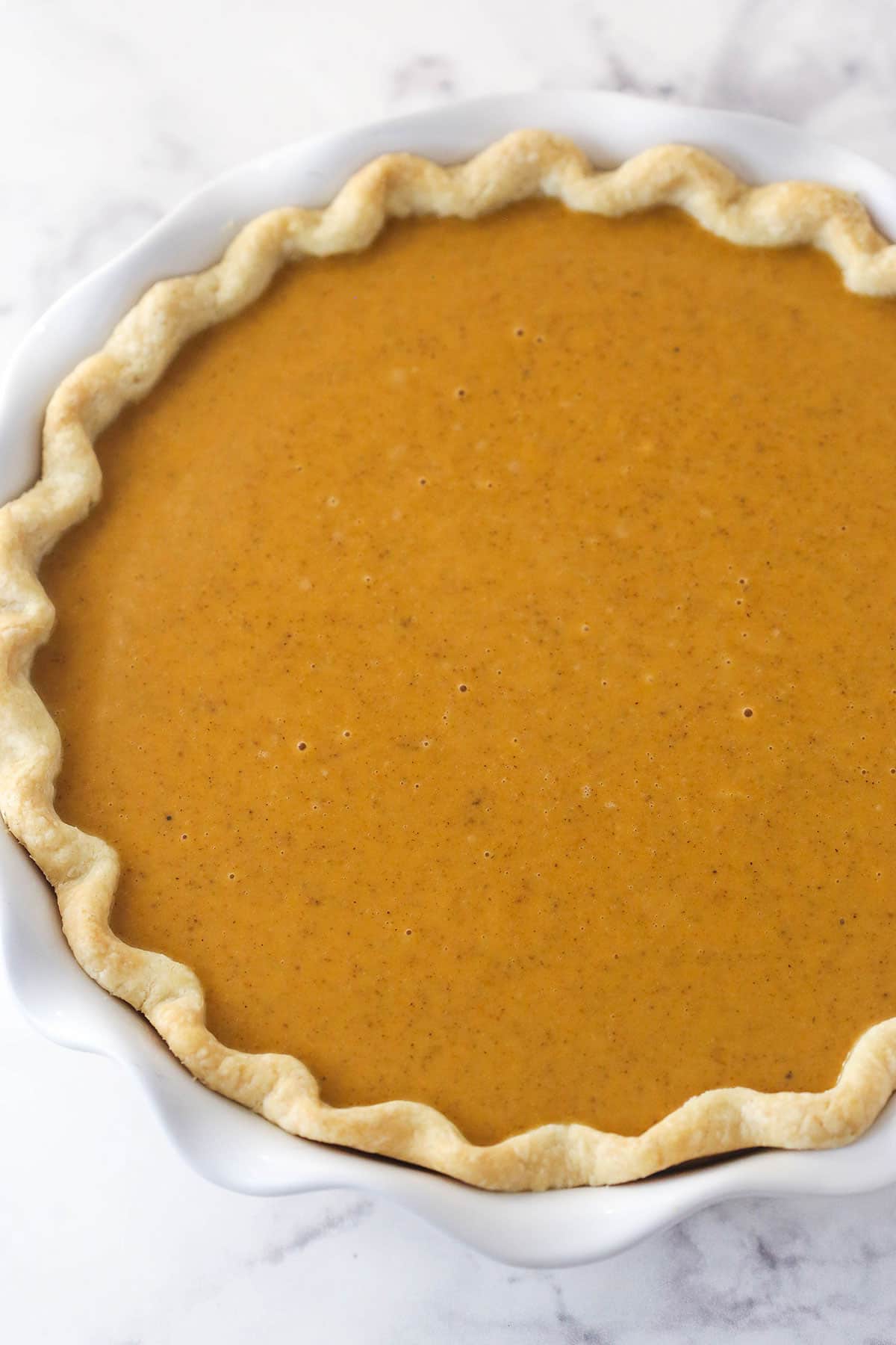 Praline Pumpkin Pie l Life, Love, and Sugar
