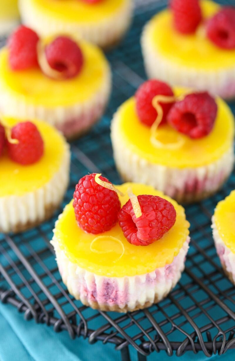 Mini Lemon Raspberry Cheesecakes | Life Love and Sugar