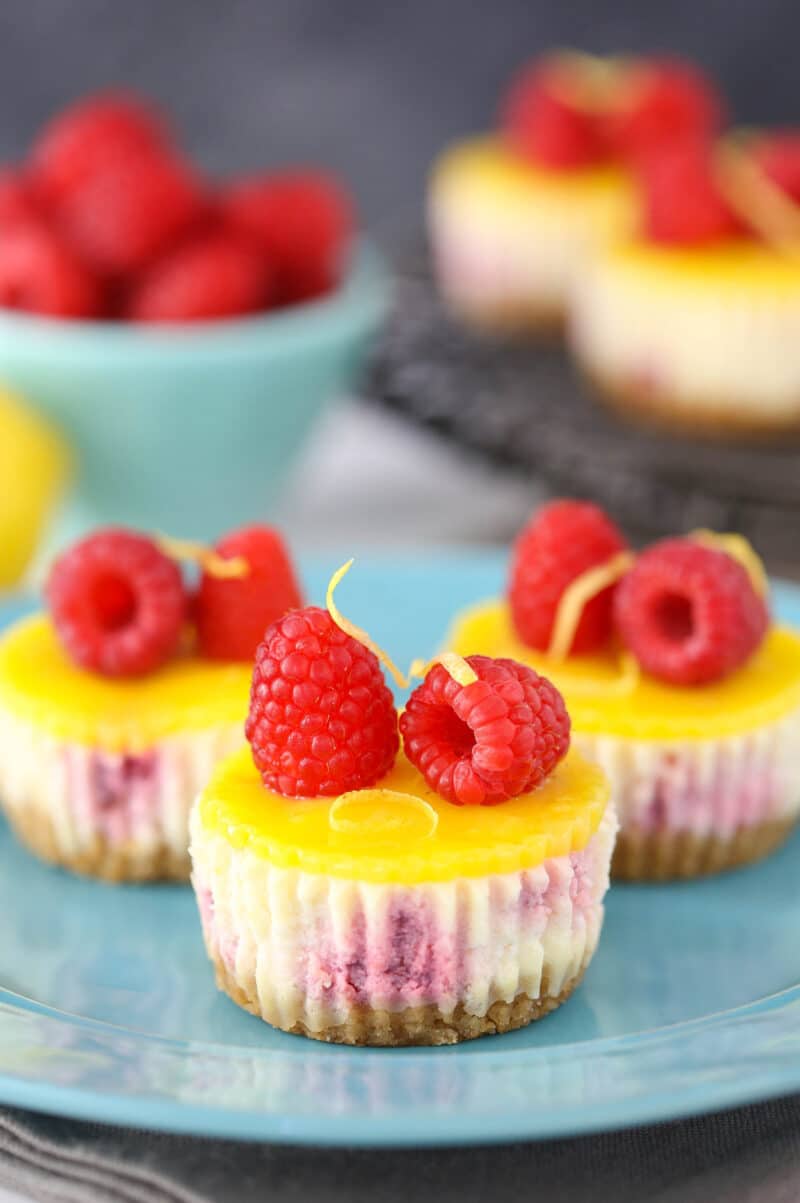 Mini Lemon Raspberry Cheesecakes | Life Love and Sugar